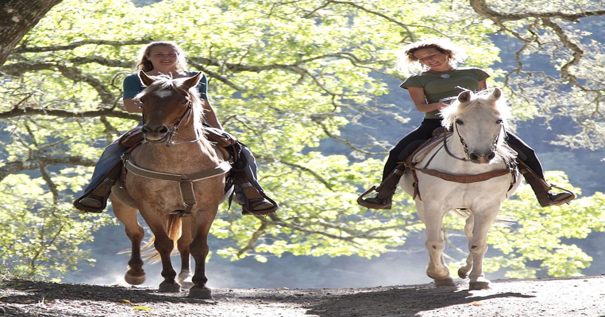 Do you like horse riding? Follow the Mount Pindos paths on horseback